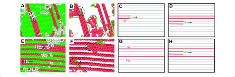 Analysis Snapshot Of Mt Phase Transition Of The Nt Heas With The Twin Download Scientific
