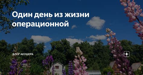Один день из жизни операционной | Блог акушера | Дзен