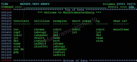 Ispf Ps File Management