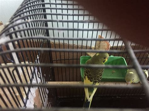 200 Cae84 9 E48 4395 92 B8 5 Ae059 C70612 — Postimages