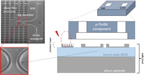 Schematic Cross Section Of A Single Photonic Sensor Layer With Required