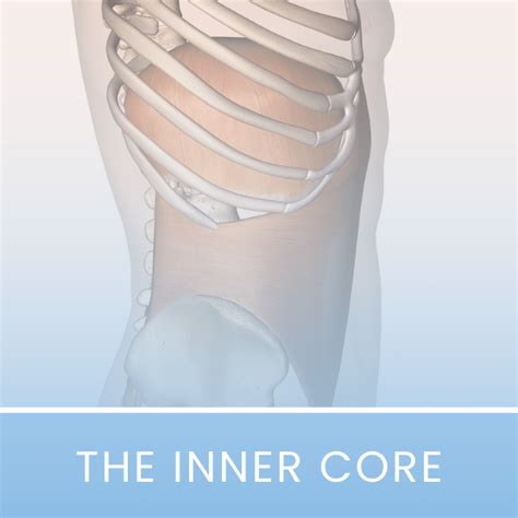 The Inner Core Unit The Core Series The Ballet Blog