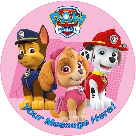 Paw Patrol Pink Ubicaciondepersonascdmxgobmx