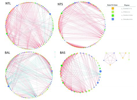 Ecological Networks Of Gut Microbiota In The Four Groups The Analyses Download Scientific