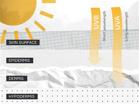 UVA And UVB What S The Difference The Skin Lab