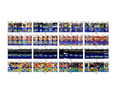 finding representative interpretations on convolutional neural networks