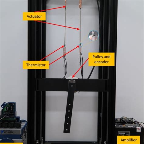 Experimental Setup For Impedance Control Of A 1 Link Robot Arm Driven Download Scientific