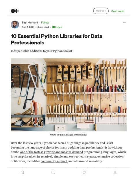 10 essential python libraries for data professionals by sigli mumuni