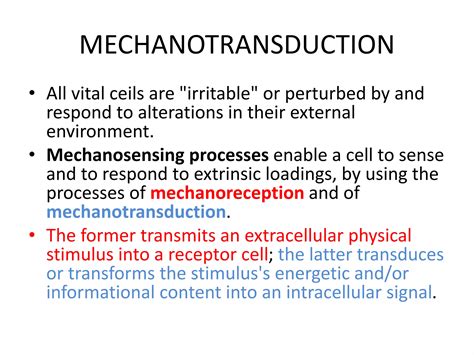 Functional Matrix Hypothesis Revisited Pptx