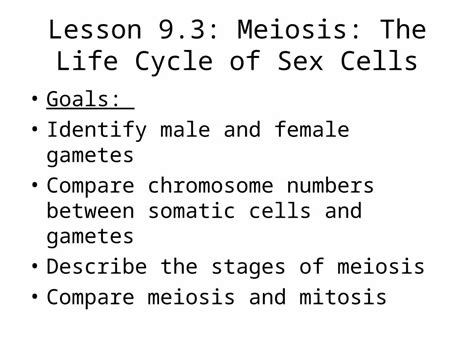 PPT Lesson 9 3 Meiosis The Life Cycle Of Sex Cells Goals Identify Male And Female Gametes