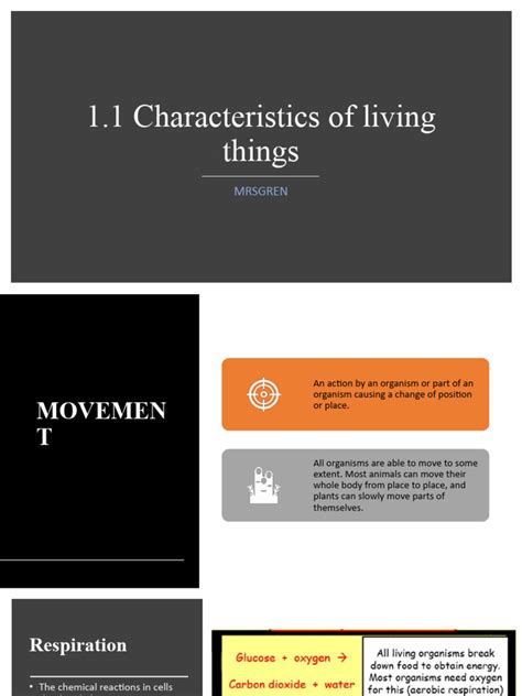 Ch 1 Classification Pdf Organisms Nutrition