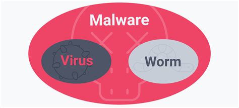 Cosa Sono Tipologie E Differenza Tra Malware E Virus In Informatica Informatica E Ingegneria
