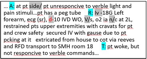 Examples Of Erroneous Delimiter Matches Used For The Standardization Of