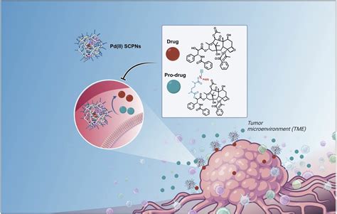 Developing Pdii Based Amphiphilic Polymeric Nanoparticles For Pro