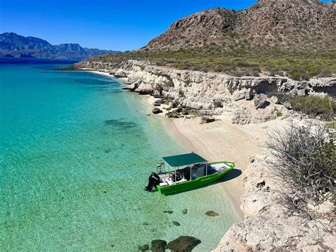 The Best Loreto Scuba Diving And Snorkeling 2025 Tripadvisor