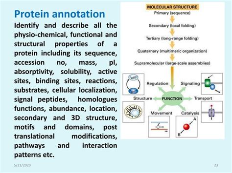 Bioinformatics Applications And Challenges Ppt