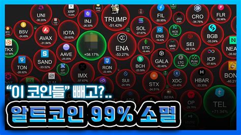 밈코인은 끝났고 이제 99가 사라질 것입니다이 코인들 빼고 알트코인전망 비트코인 암호화폐 가상자산 폭락 리플 이더리움 메인넷 레이어1코인 체인링크 수이 솔라나
