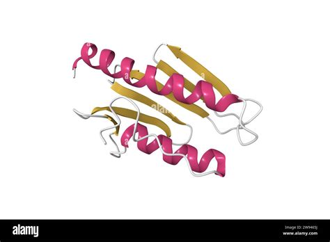 Crystal Structure Of Mature Human Frataxin 3d Cartoon Model Secondary Structure Color Scheme
