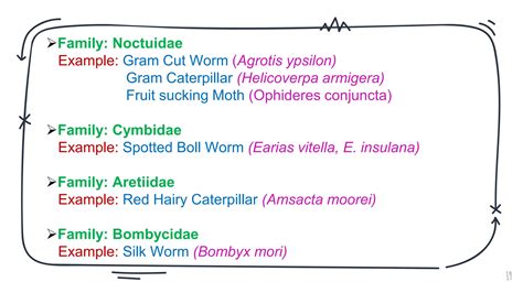 Insectaclassification And Orders Of Important Insects Ppt