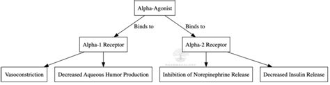 Pharmacology Of Alpha Agonists Pharmacology Mentor
