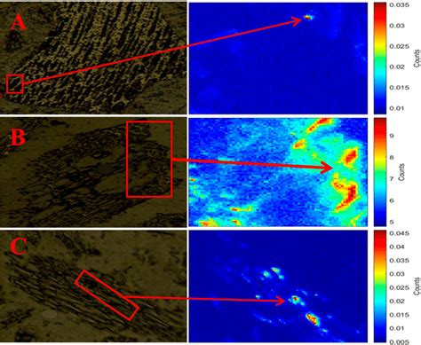 Synchrotron Xrf Map Of U Vi Distribution Onto Ws At Ph A 5 B 7 Download Scientific
