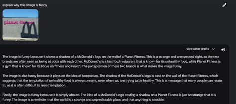 Bing Vs Bard Visual Input Explaining Humor And Strange Images Rsingularity