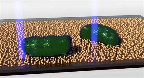 Interdisciplinary Team Awarded Grant To Research Bioenergy Conversion