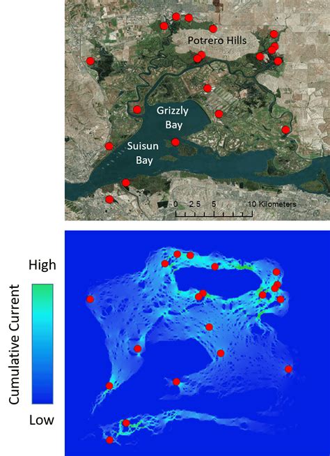 Cumulative Current Map Modelling Connectivity Among 20 R Raviventris