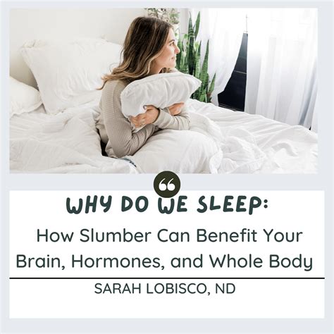 Who Needs Sleep Why We Sleep And How Slumber Can Benefit Your Brain Hormones And Whole Body