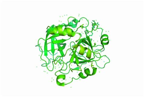 Protein Model Images Search Images On Everypixel