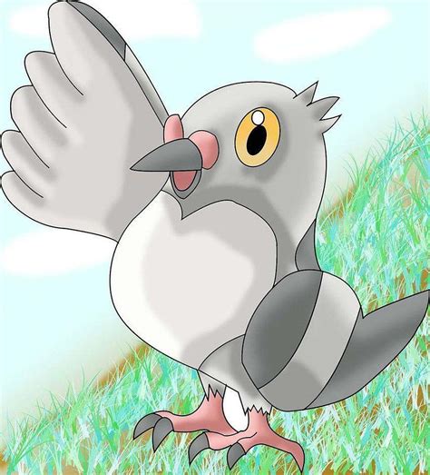 Pidove Evolution Chart Level