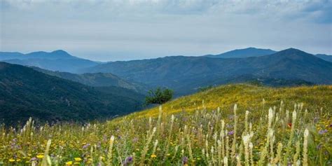 Quelle Est La Différence Entre Une Implosion Et Une Explosion Ça Mintéresse