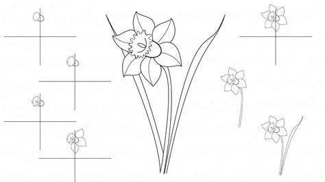 Учимся рисовать весенний нарцисс карандашом