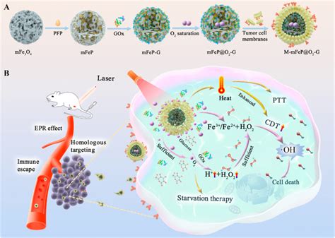 Tumor Microenvironment Adaptive Nanoplatform Synergistically Enhances Cascaded Chemodynamic