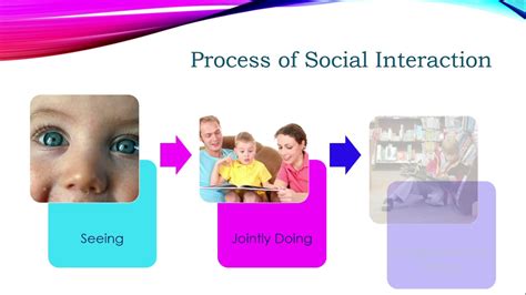 Social Interaction Theory Behavior