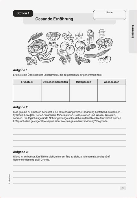 Sekundarstufe I Unterrichtsmaterial Biologie Körper Und - Kostenlose Arbeitsblätter Und ...