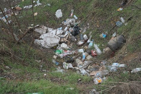 숲 의 외곽 근처 길가에 정령 덤프 플라스틱 쓰레기 플라스틱 및 기타 폐기물환경오염 나무 들 사이 잔디에 플라스틱 파편 환경 플라스틱 오염은 생태학적 문제입니다 가방에 대한