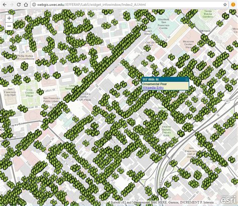 Geography Web GIS Web GIS Lab ArcGIS API For JavaScript