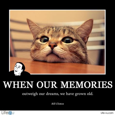 36 Best Original Cool Quotes Pictures And Memes Images On Pinterest
