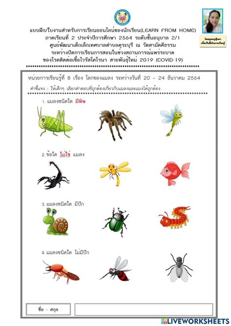 1794817 เลือกคำตอบที่ถูกต้องเกี่ยวกับแมลงและแมง 2