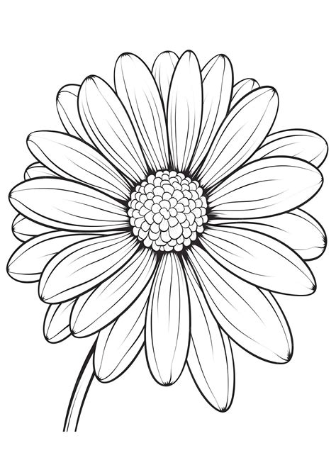 꽃 색채 페이지 라인 아트 꽃 색칠 페이지 손으로 그려진 꽃 윤 일러스트레이션 색채 페지 꽃 라인 아트는 잎을 가진 꽃의 그림 Ai 생성 프리미엄 사진