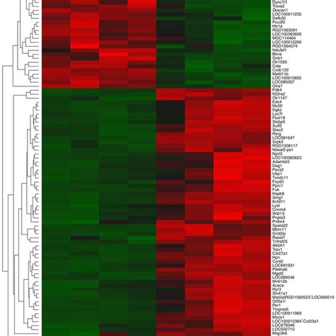 Hierarchical Clustering Analysis Of Genes With Expression Completely