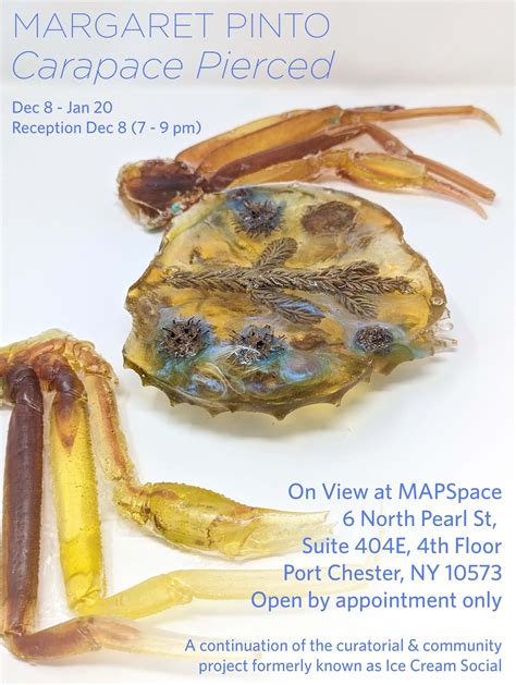 Carapace Pierced Solo Exhibition By Margaret Pinto — Neptune In June