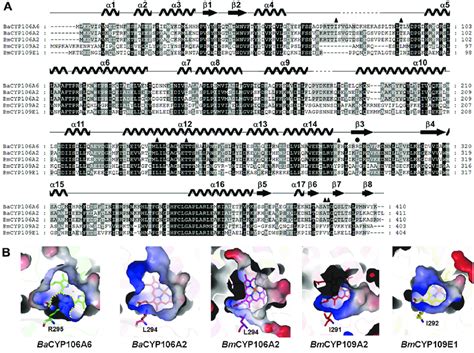 multiple sequence alignment and binding mode of steroids a multiple