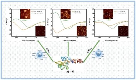 Modulating Surface Functional Groups In Carbon Dots For Enhanced