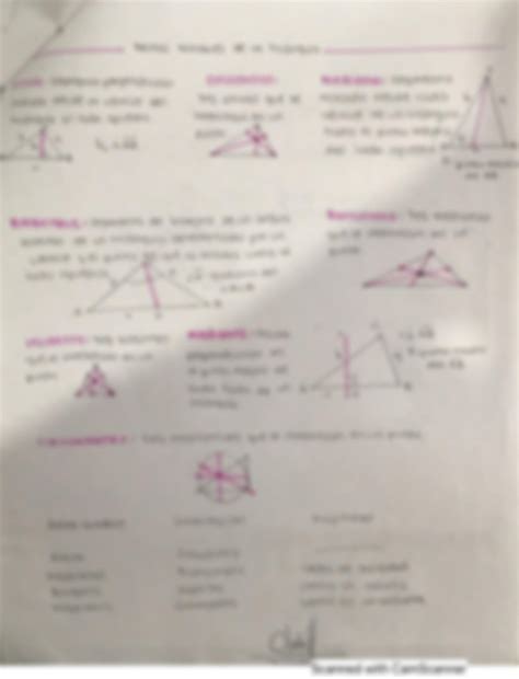 SOLUTION: Infografia tria ngulos - Studypool