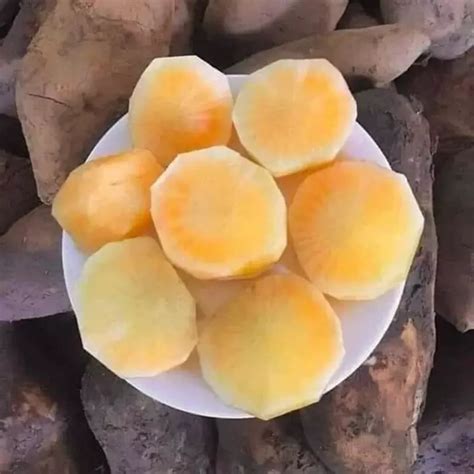 Khoai S M T T Y B C Kg