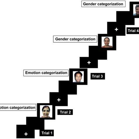Schematic Diagram For Trial Sequence Download Scientific Diagram