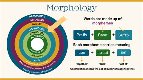 What Is Morphology And Why Is It Important Reading Horizons