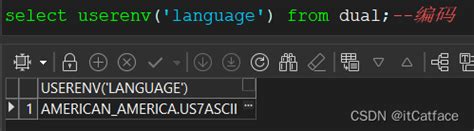 SpringBoot查询Oracle数据库中文乱码问题解决 spring datasourc oracle 字符集 CSDN博客